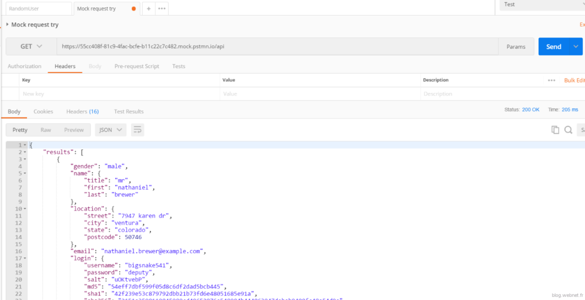 Présentation de Postman, outil multifonction pour API Web - Webnet blog